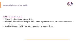 peripheral neuropathy (introduction and Gillian barre syndrome .pptx