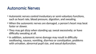 Peripheral Neuropathy Power point | PPTX