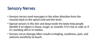 Peripheral Neuropathy Power point | PPTX