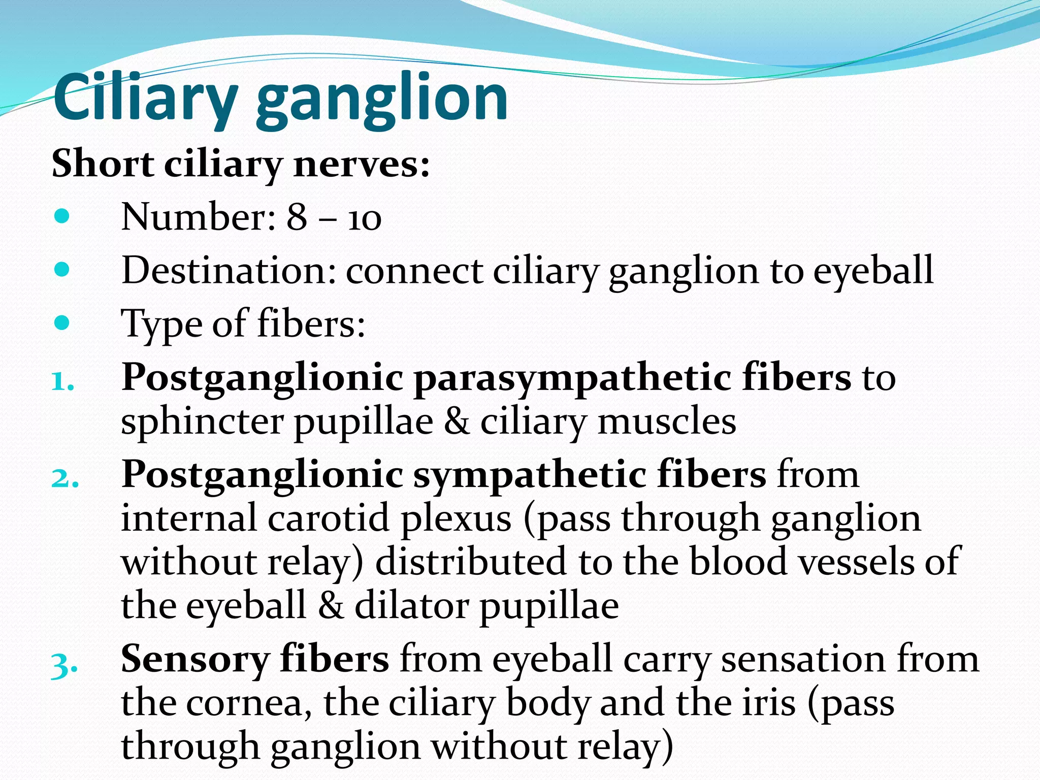 Parasympathetic ganglia of Head and Neck | PPTX