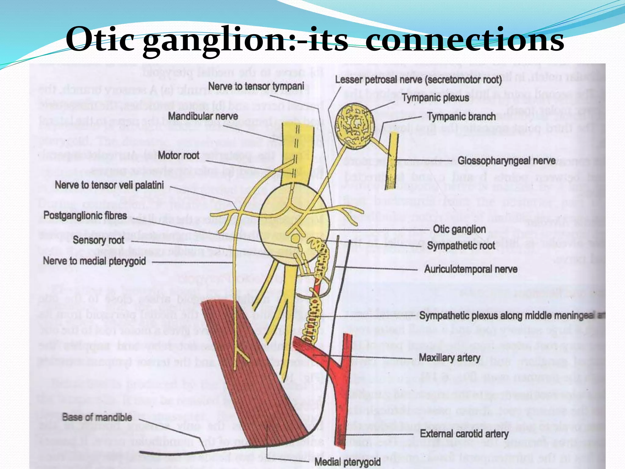 Parasympathetic ganglia of Head and Neck | PPTX