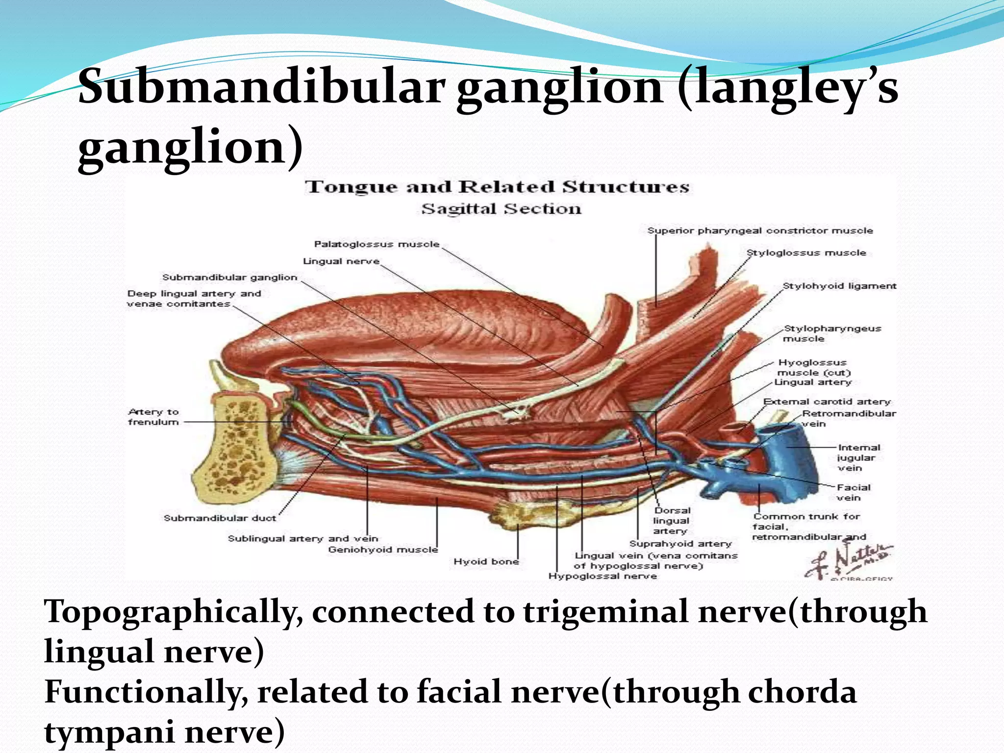 Parasympathetic ganglia of Head and Neck | PPTX