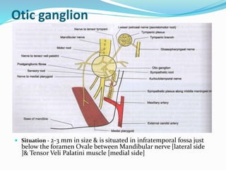 Parasympathetic ganglia of Head and Neck | PPTX
