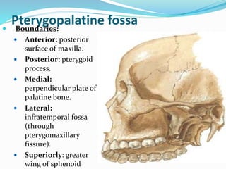 Parasympathetic ganglia of Head and Neck | PPTX