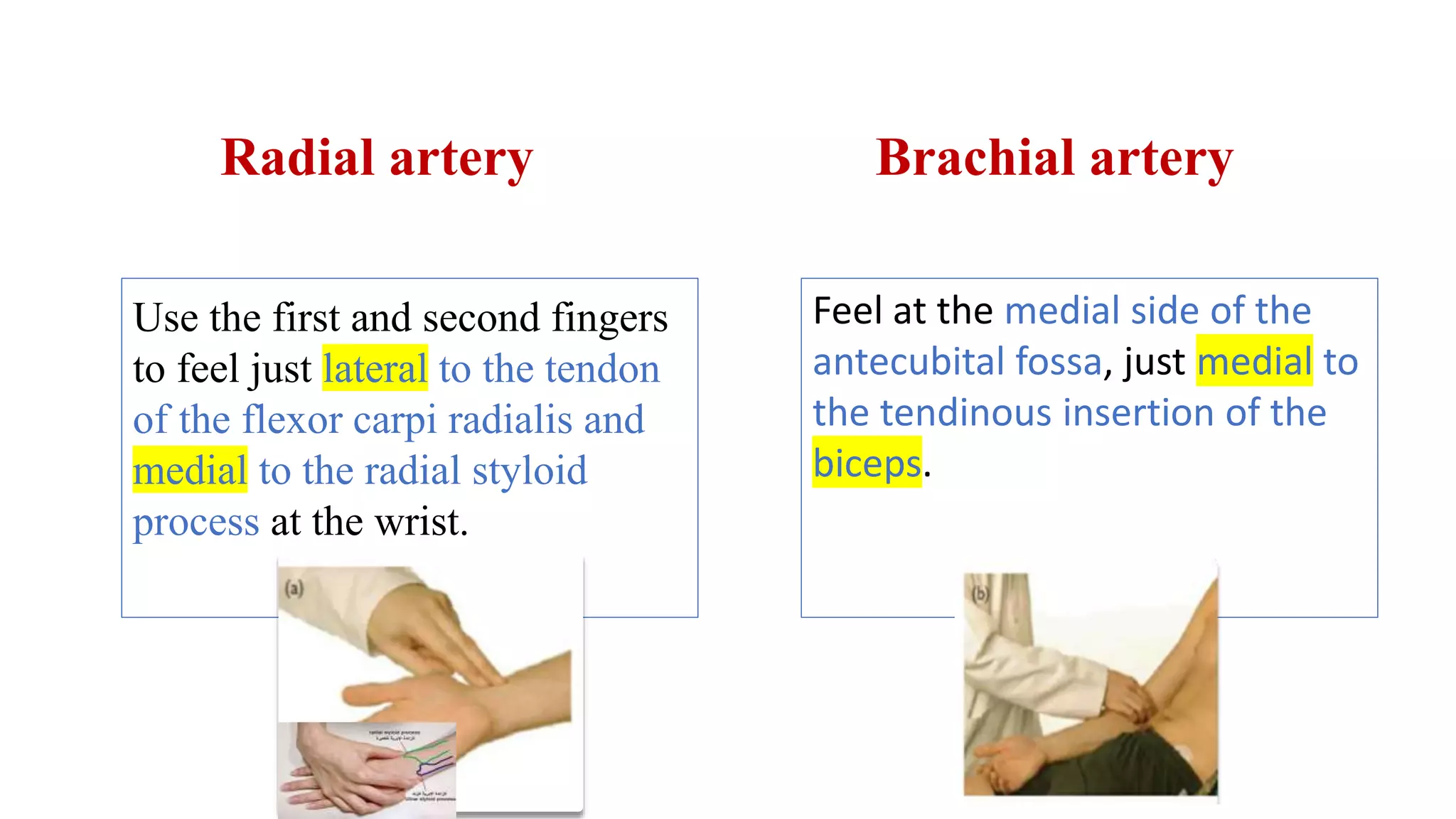 Peripheral pulsations and blood pressure measurement | PPTX
