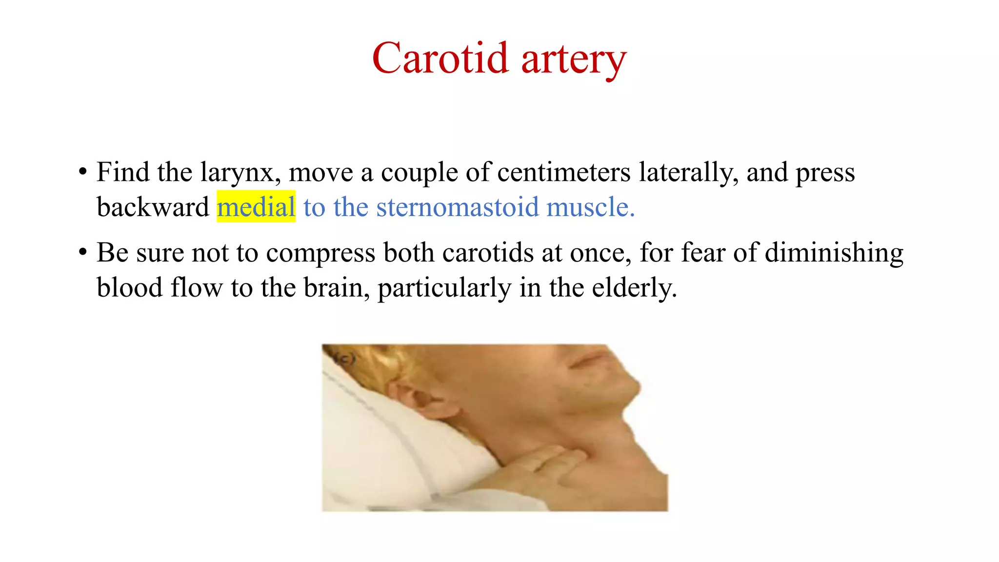 Peripheral pulsations and blood pressure measurement | PPTX