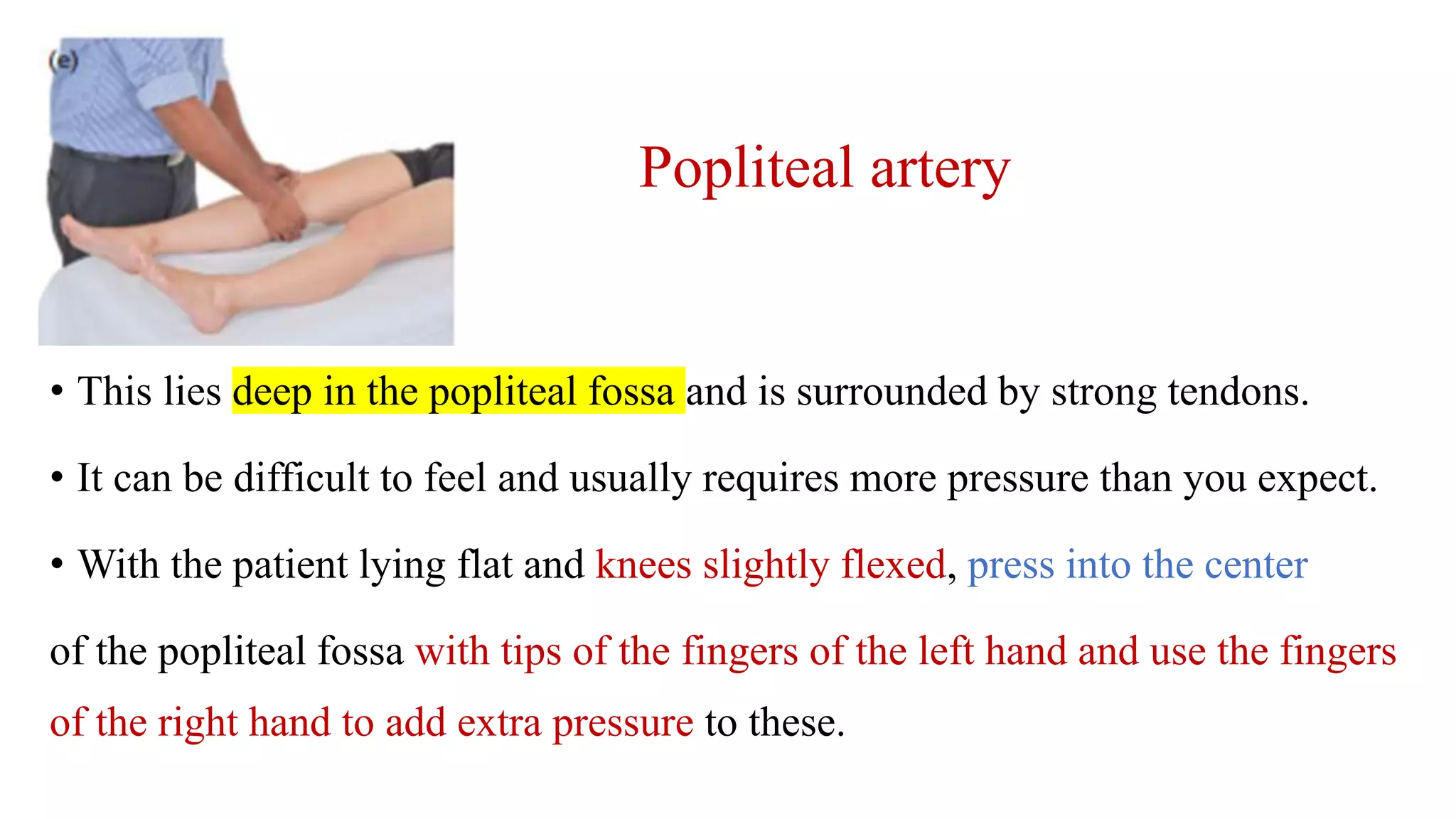 Peripheral pulsations and blood pressure measurement | PPTX