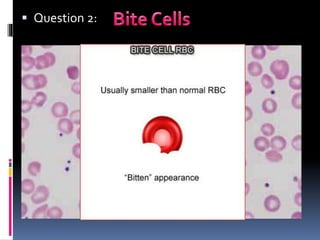 Bite Cells