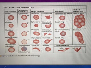 Peripheral smear | PPTX