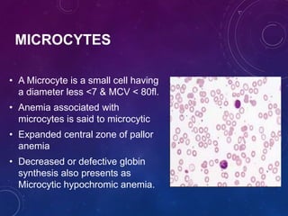 Peripheral smear | PPTX