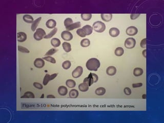 Peripheral smear | PPTX