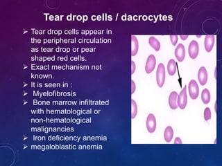 Peripheral smear | PPTX