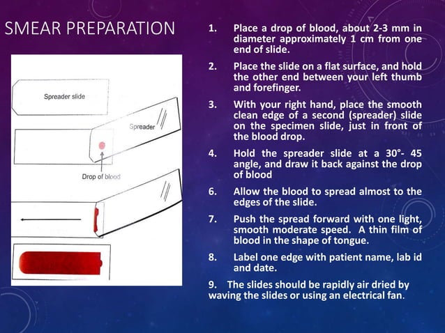 Peripheral smear | PPTX | Blood Disorders | Diseases and Conditions