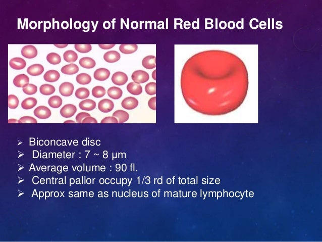 Peripheral smear