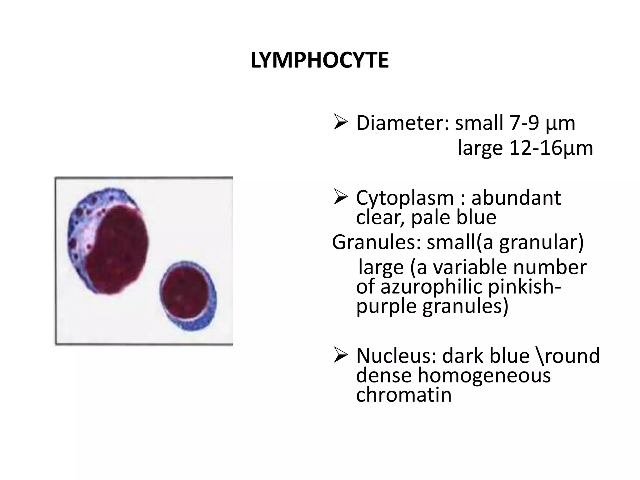Peripheral smear | PPTX