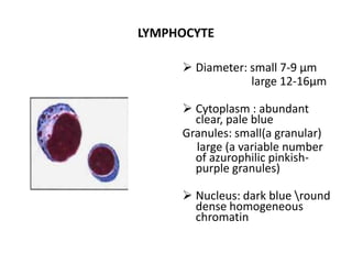 Peripheral smear | PPTX