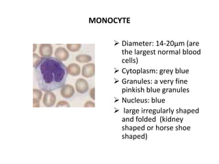Peripheral smear | PPTX