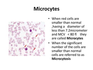 Peripheral smear | PPTX