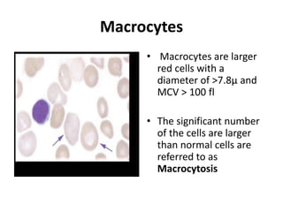 Peripheral smear | PPTX