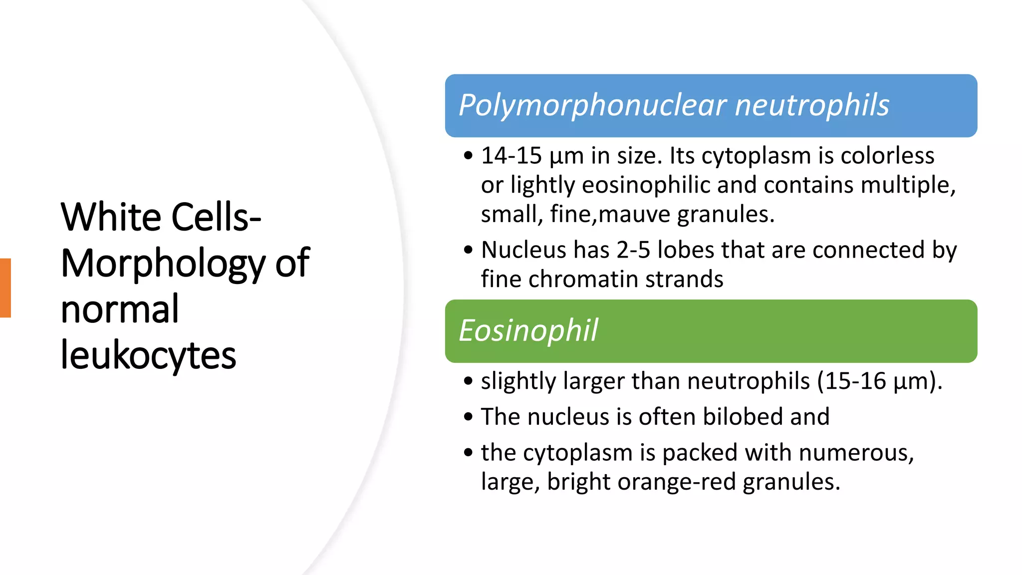 peripheral smear. DMLT.pptx | Blood Disorders | Diseases and Conditions