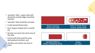 peripheral smear. DMLT.pptx | Blood Disorders | Diseases and Conditions