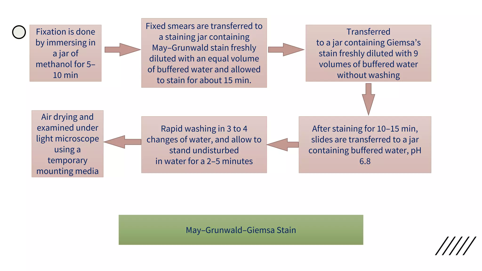 Peripheral smear staining and morphology | PDF