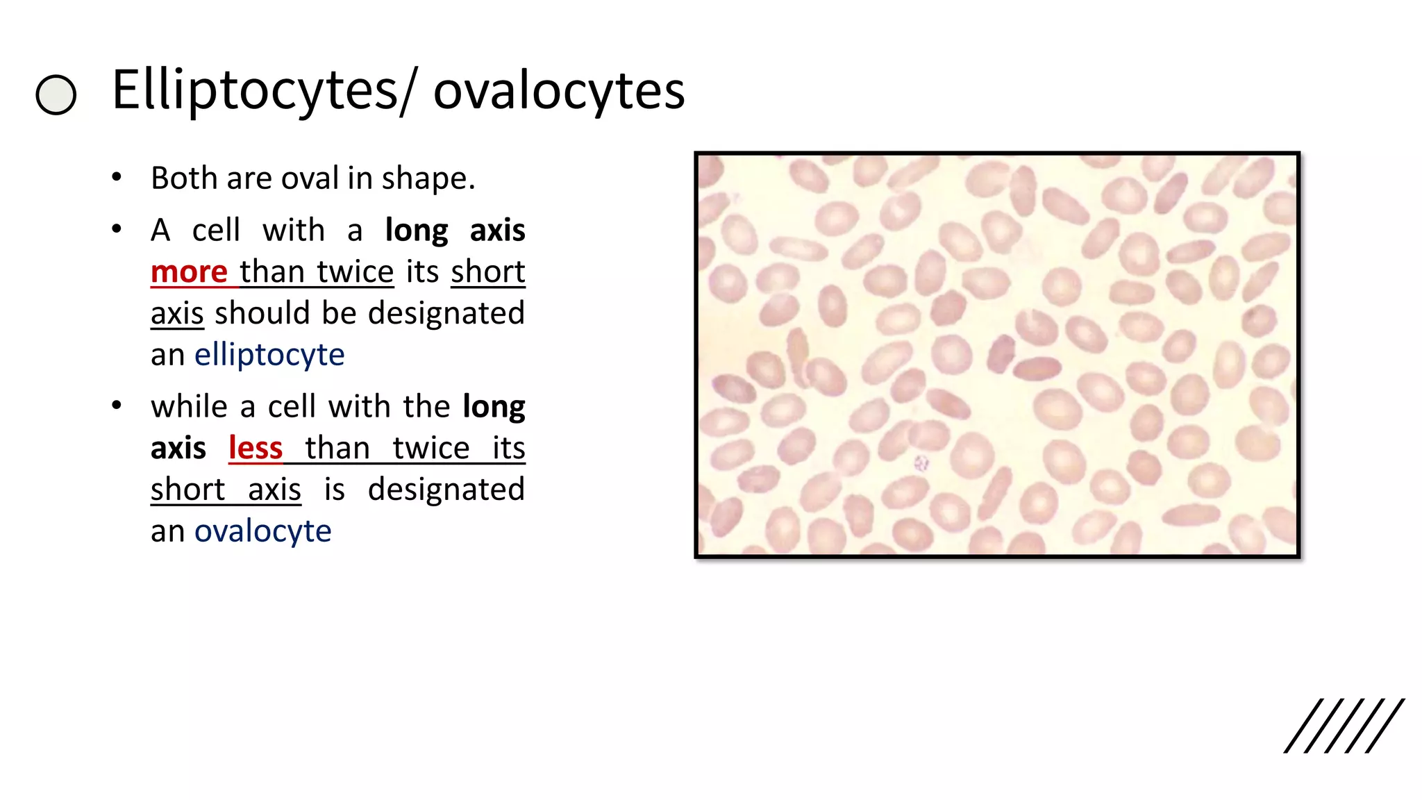 Peripheral smear staining and morphology | PDF