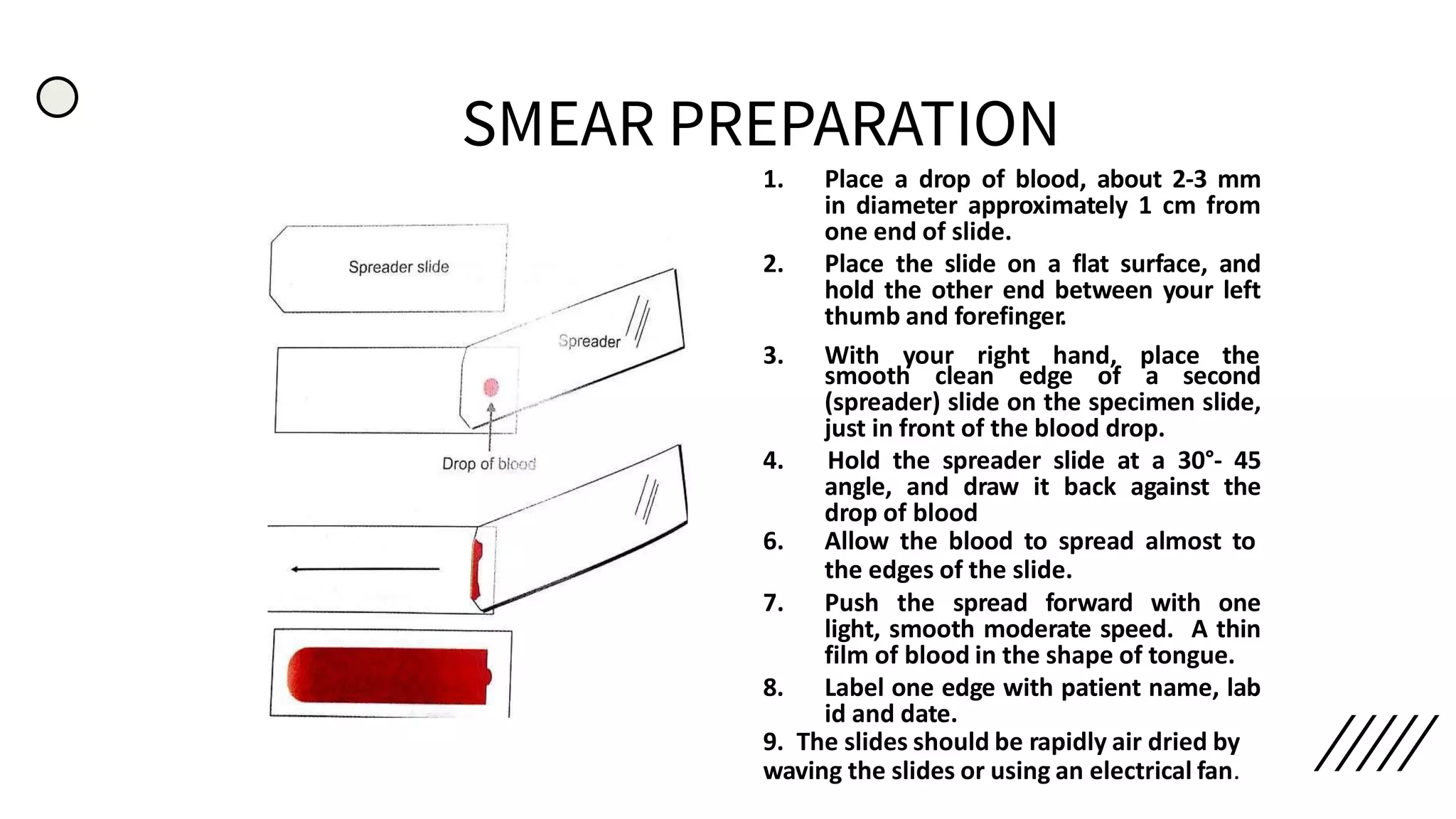 Peripheral smear staining and morphology | PDF | Blood Disorders ...