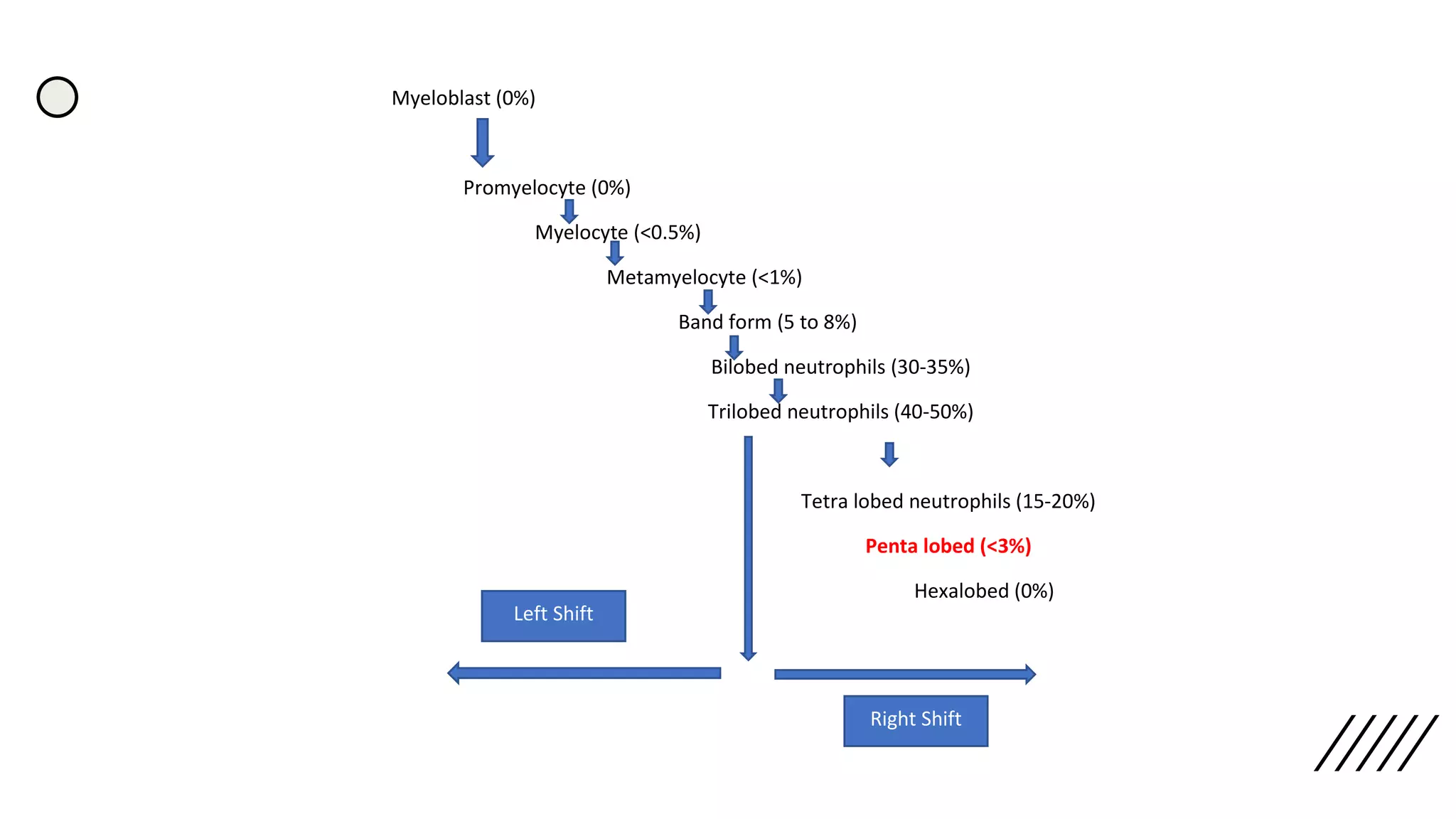 Peripheral smear staining and morphology | PDF