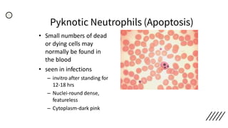 Peripheral smear staining and morphology | PDF