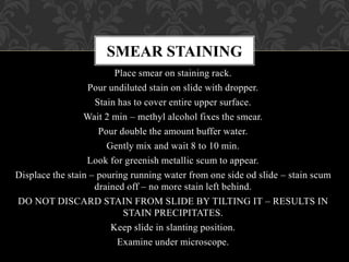 PERIPHERAL SMEAR.pptx