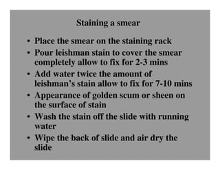 Peripheral Smear Using Leishman Stain | PDF