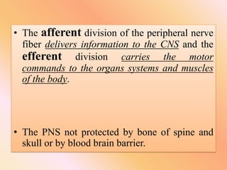 peripheral system of nervous system ..pdf