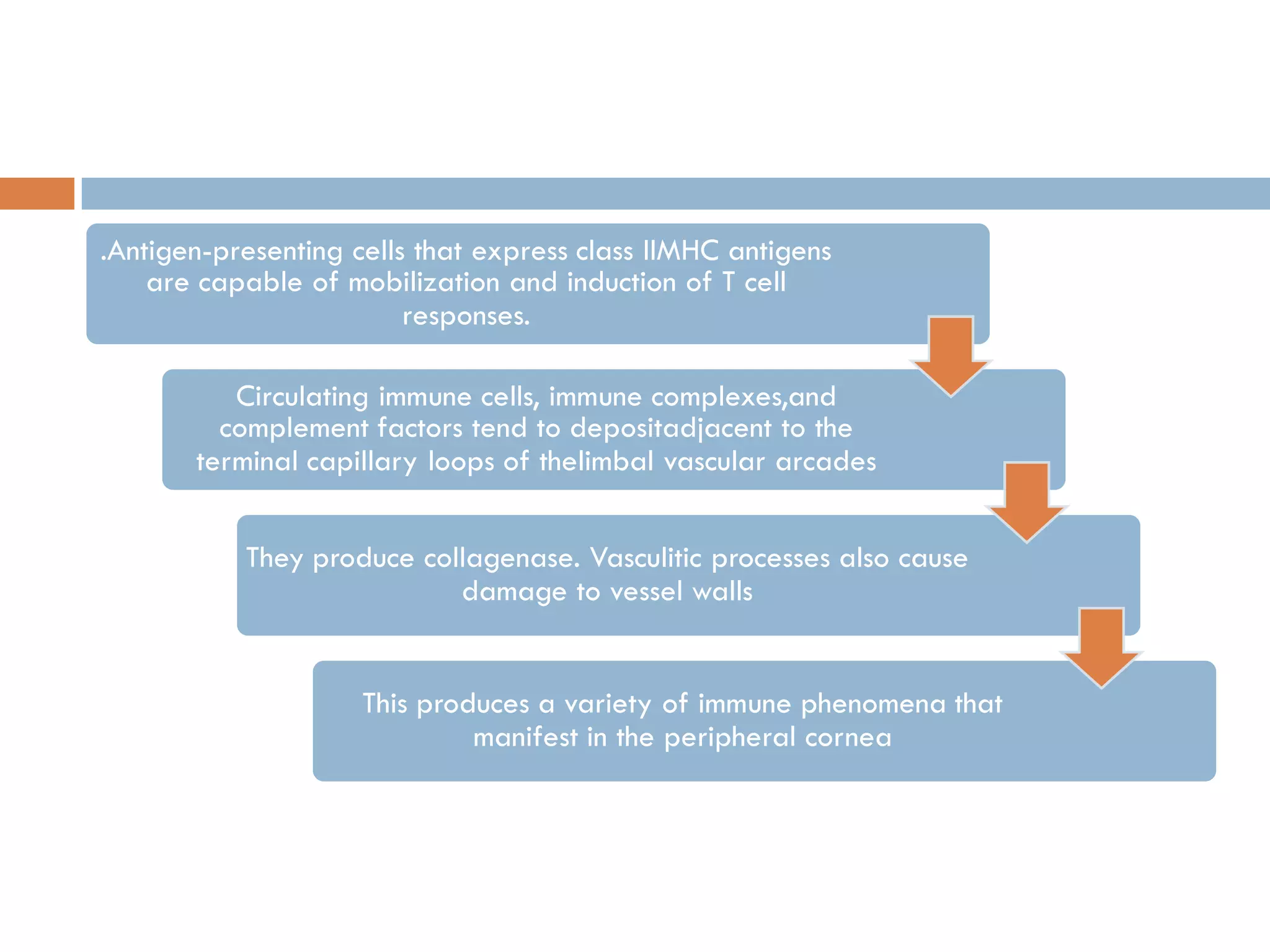 Peripheral Ulcerative Keratitis ( PUK ) | PDF