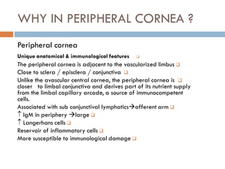 Peripheral Ulcerative Keratitis ( PUK ) | PDF