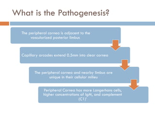 Peripheral Ulcerative Keratitis ( PUK ) | PDF