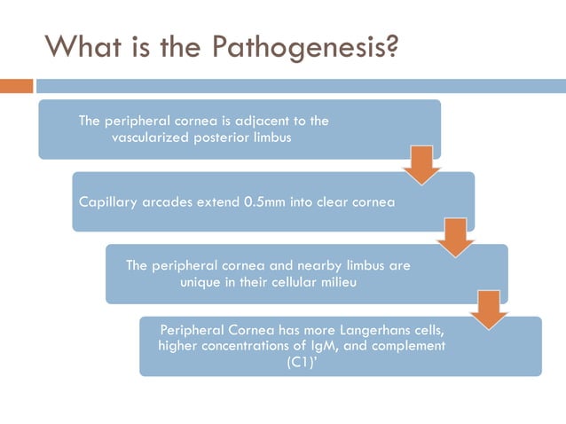 Peripheral Ulcerative Keratitis ( PUK ) | PDF | Eye and Vision ...