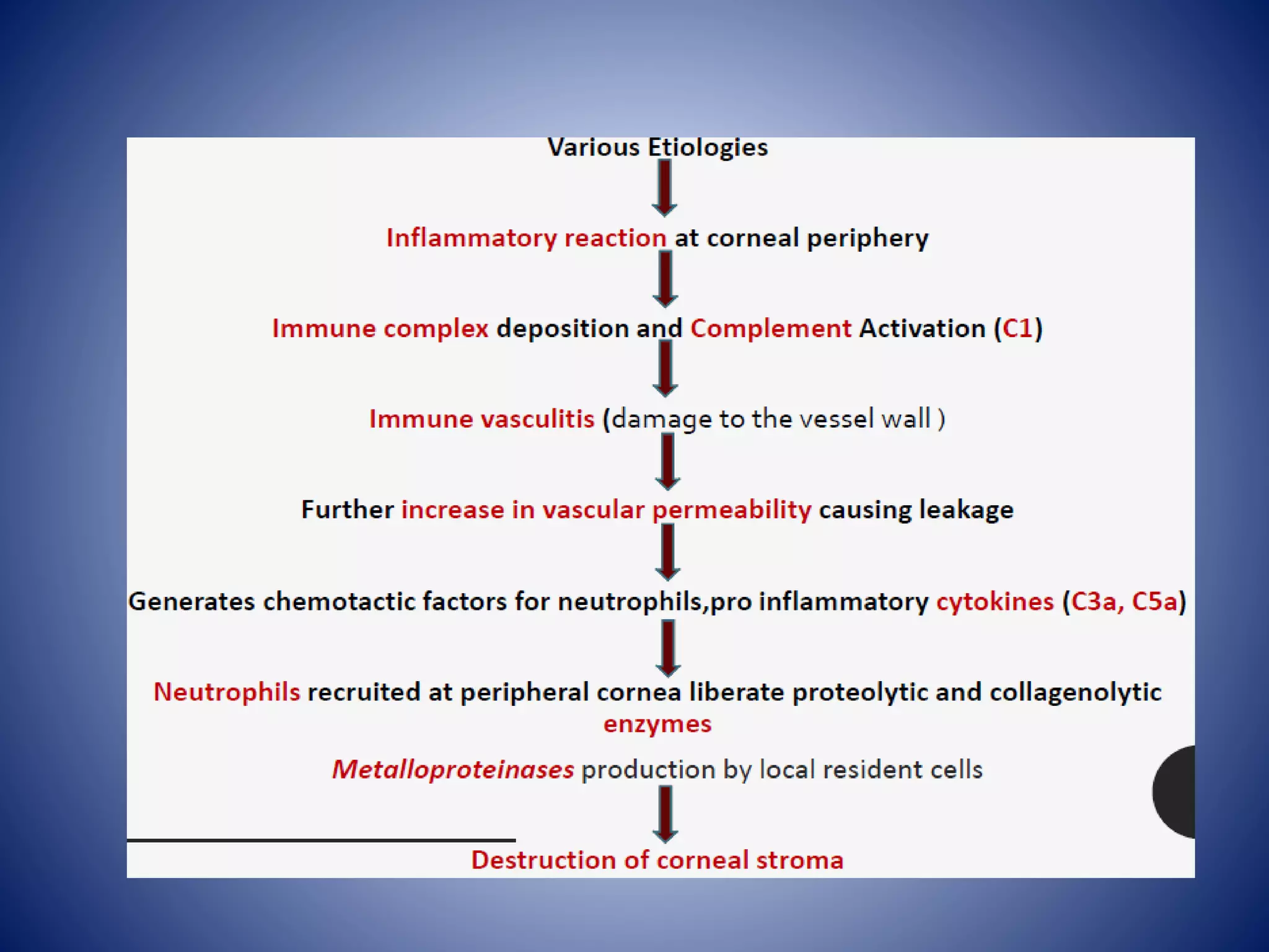 Peripheral ulcerative keratitis (puk) | PPTX