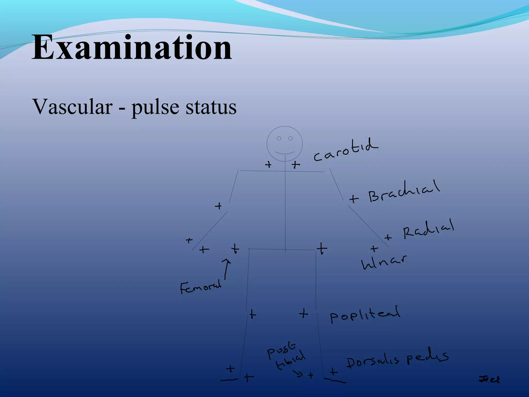Peripheral vascular disease | PPT