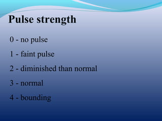 Peripheral vascular disease | PPT