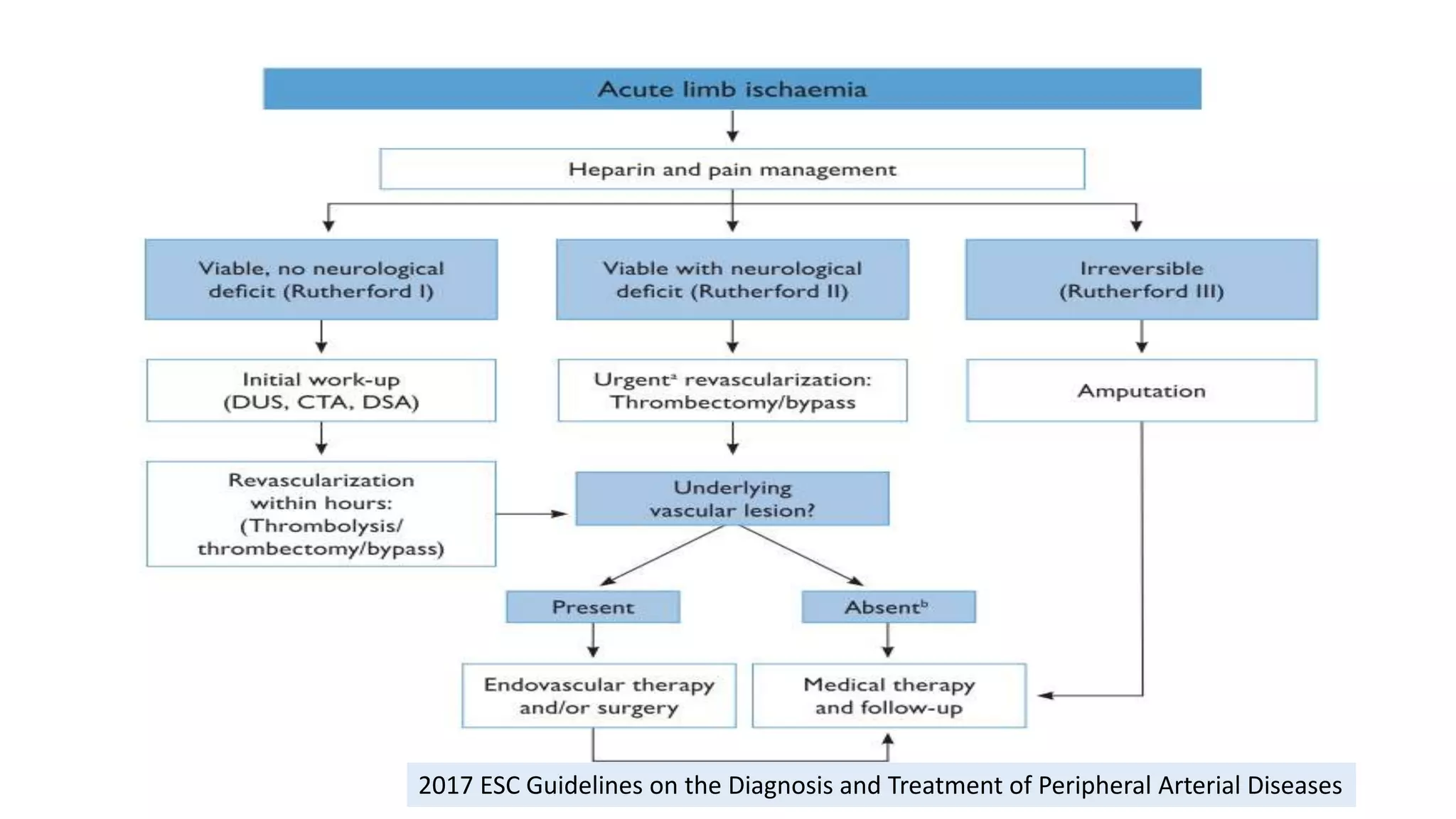 Peripheral vascular diseases | PPTX
