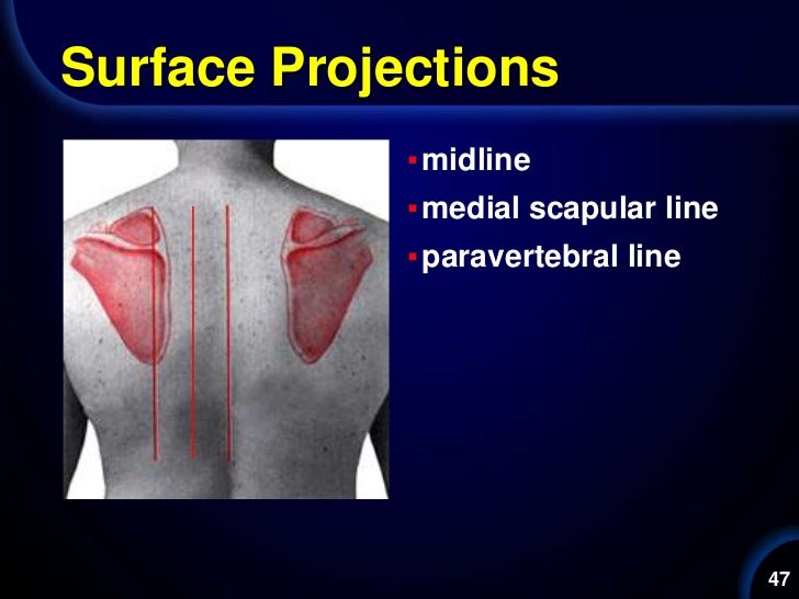 Surgery 6th year, Tutorial (Dr. Aram Baram)