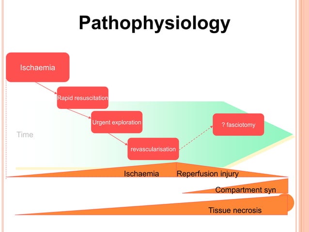 Peripheral Vascular Injuries | PPTX