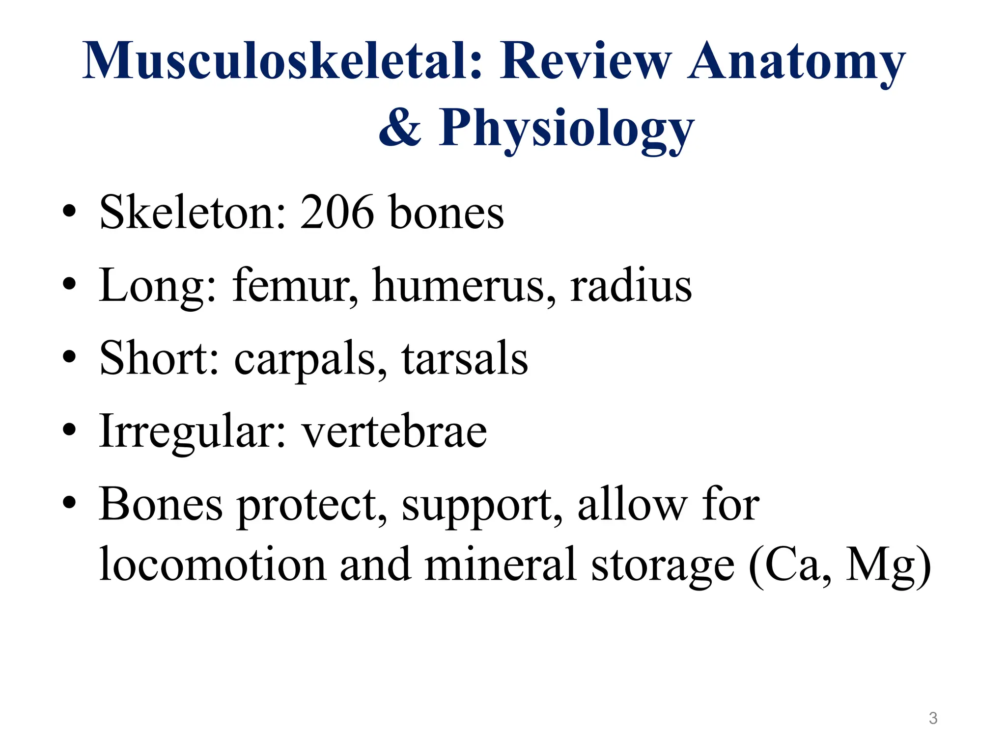 Peripheral Vascular _Musculoskeletal system.pptx