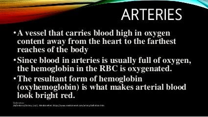 PERIPHERAL VASCULAR SYSTEM.pptx