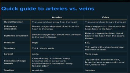 PERIPHERAL VASCULAR SYSTEM.pptx
