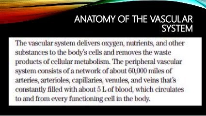 PERIPHERAL VASCULAR SYSTEM.pptx