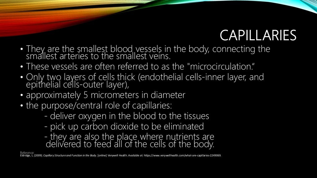 PERIPHERAL VASCULAR SYSTEM.pptx