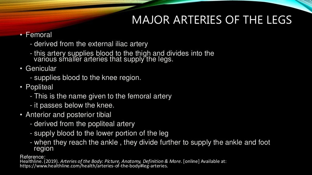 PERIPHERAL VASCULAR SYSTEM.pptx