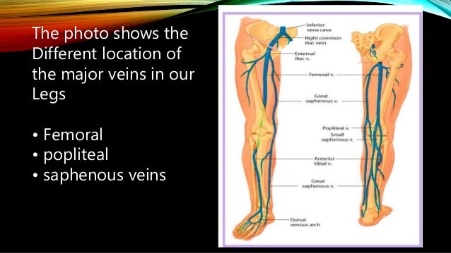 PERIPHERAL VASCULAR SYSTEM.pptx